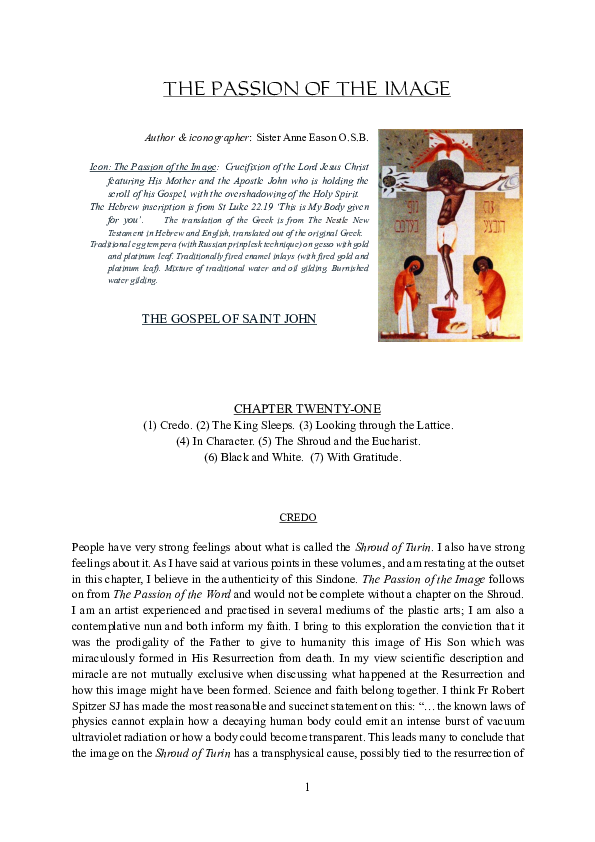 (PDF) THE PASSION OF THE IMAGE. Chapter 21