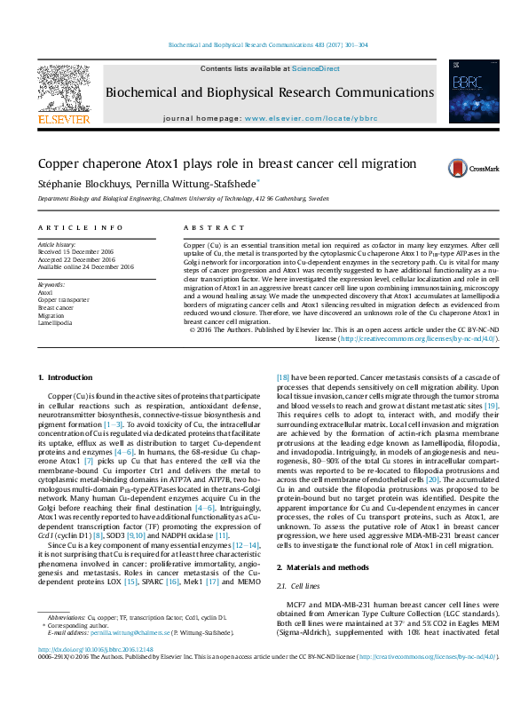 (PDF) Copper chaperone Atox1 plays role in breast cancer cell migration