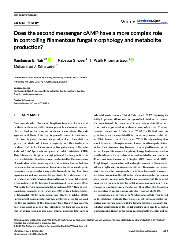 (PDF) Does the second messenger cAMP have a more complex role in ...