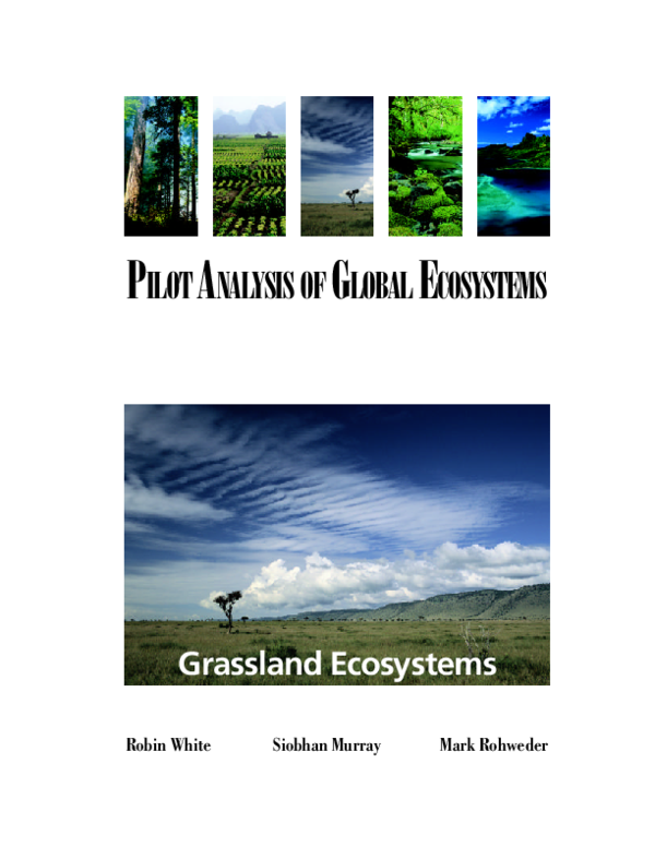 (PDF) Pilot analysis of global ecosystems: grassland ecosystems