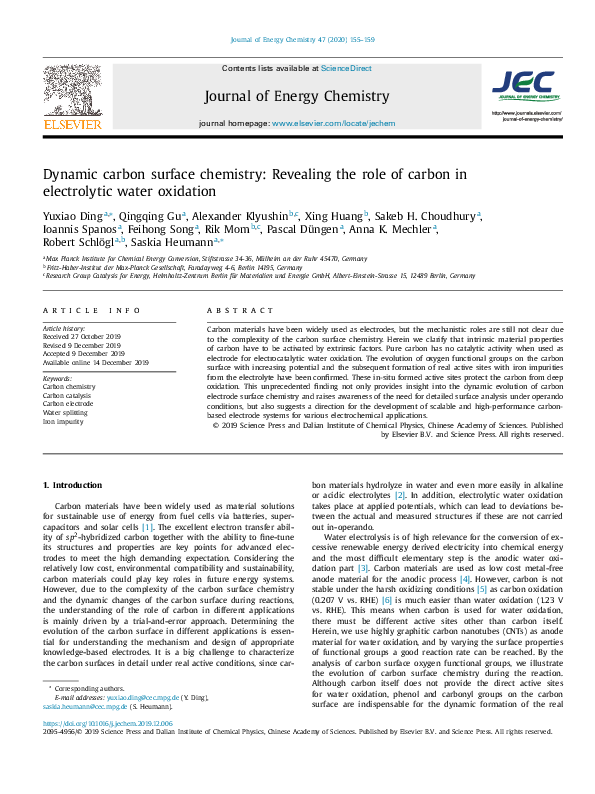 (PDF) Dynamic carbon surface chemistry: Revealing the role of carbon in ...