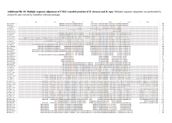 (PDF) Additional file 10: of Comprehensive genomic analysis of the CNGC ...