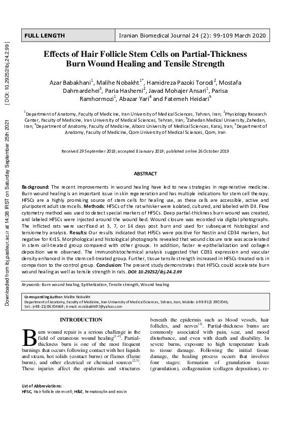 (PDF) Effects of Hair Follicle Stem Cells on Partial-Thickness Burn ...