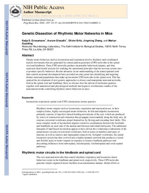 (PDF) Genetic dissection of rhythmic motor networks in mice
