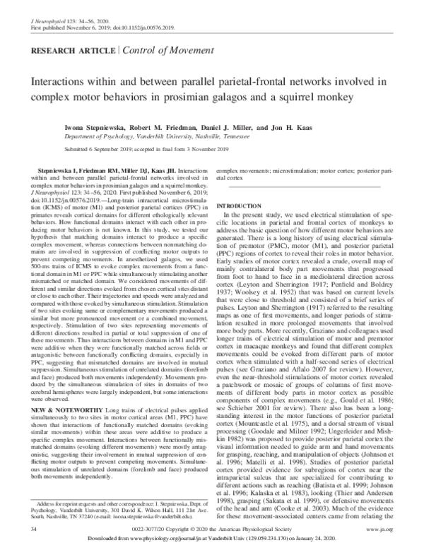 (PDF) Interactions within and between parallel parietal-frontal ...