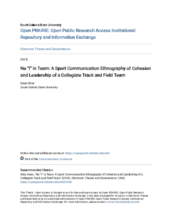 (PDF) No “I” in Team: A Sport Communication Ethnography of Cohesion and ...