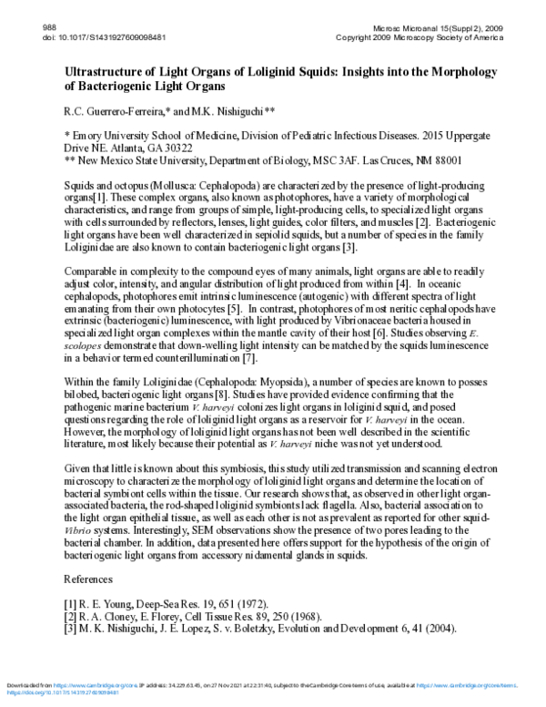 (PDF) Ultrastructure of Light Organs of Loliginid Squids with Insights ...