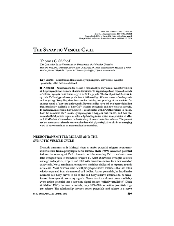 (PDF) The Synaptic Vesicle Cycle