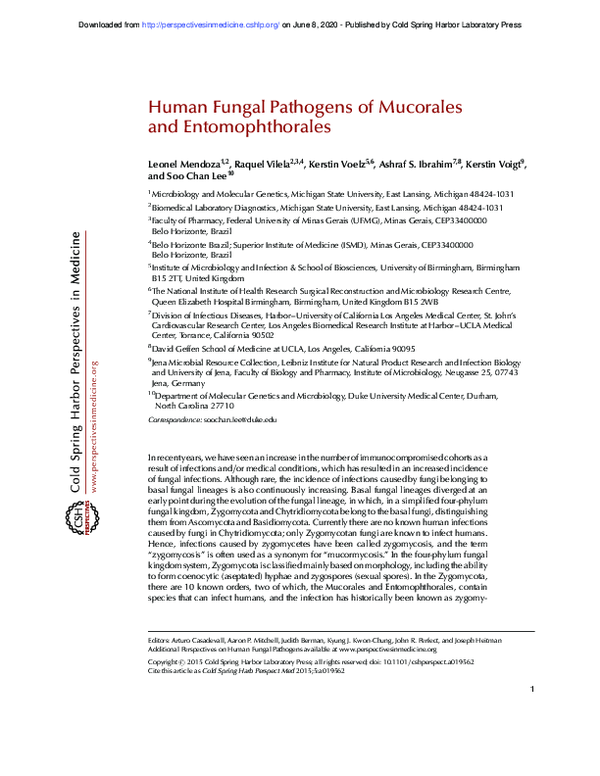 (PDF) Human Fungal Pathogens of Mucorales and Entomophthorales
