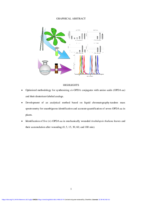 (PDF) Synthetic and analytical routes to the L-amino acid conjugates of ...