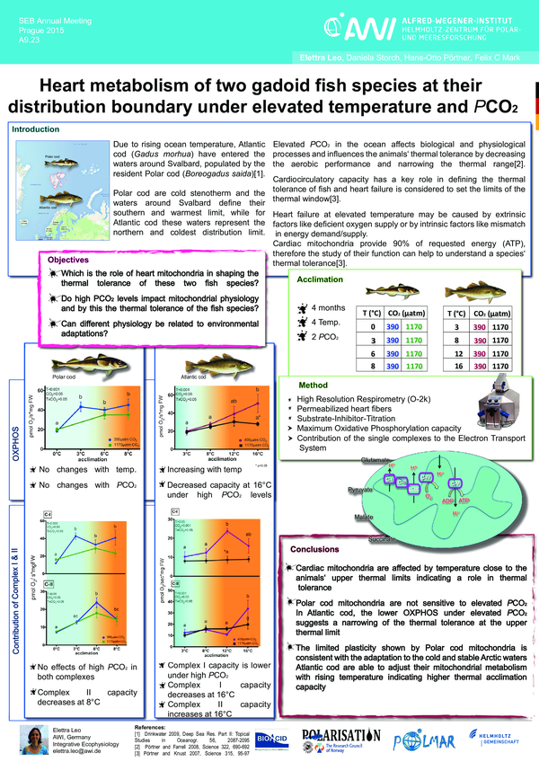 (PDF) Heart metabolism of two gadoid fish species at their distribution ...