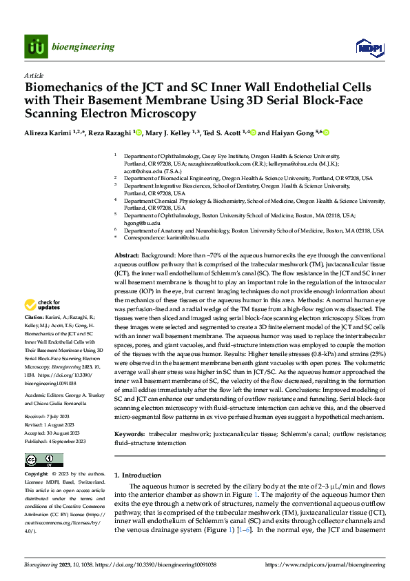 (PDF) Biomechanics of the JCT and SC Inner Wall Endothelial Cells with ...