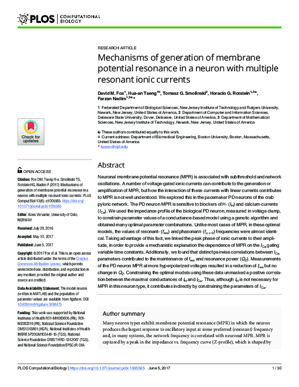 (PDF) Mechanisms of generation of membrane potential resonance in a neuron with multiple ...