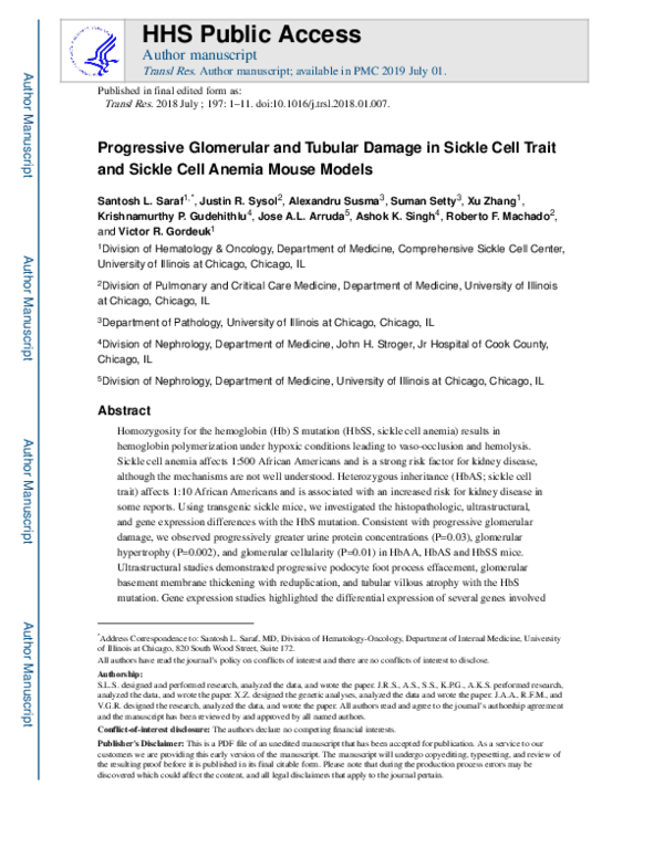 (PDF) Progressive glomerular and tubular damage in sickle cell trait ...