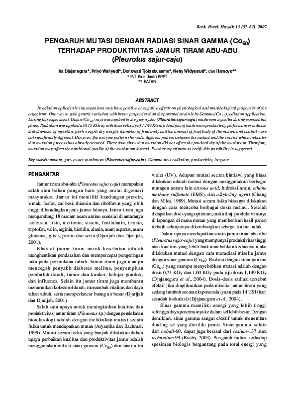 (PDF) Pengaruh mutasi dengan radiasi sinar gamma (CO₆₀) terhadap ...