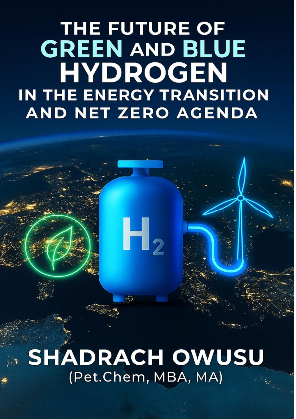 (PDF) The Future of Green and Blue Hydrogen in the Energy Transition ...