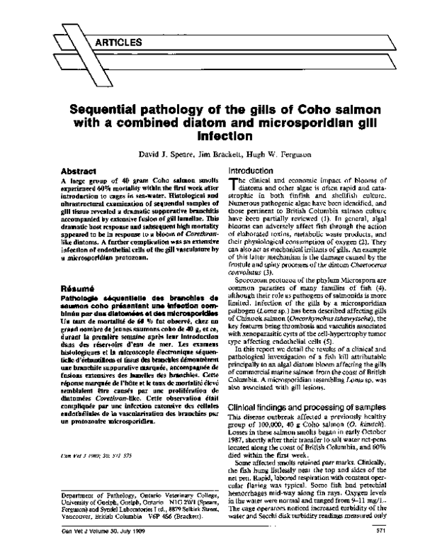 (PDF) Sequential pathology of the gills of Coho salmon with a combined ...
