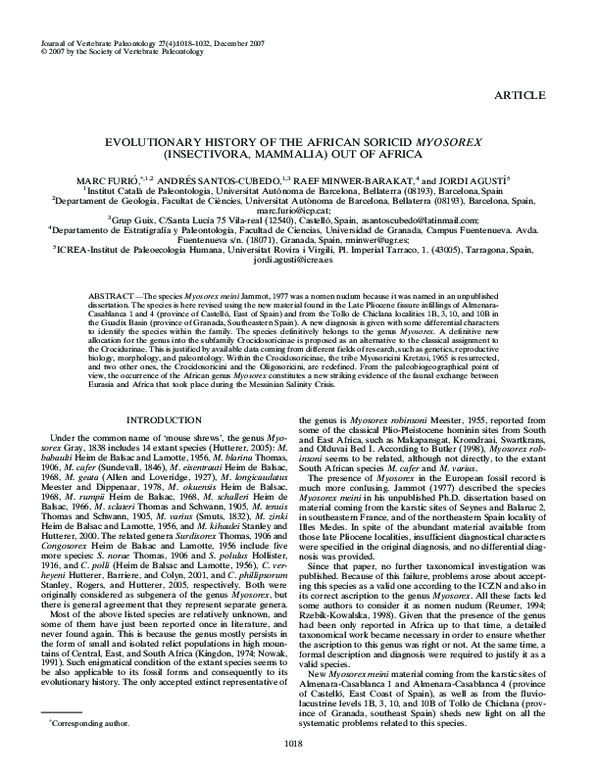 (PDF) EVOLUTIONARY HISTORY OF THE AFRICAN SORICID MYOSOREX (INSECTIVORA ...