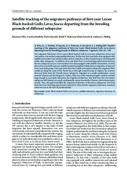 (PDF) Satellite tracking of the migratory pathways of first-year Lesser ...