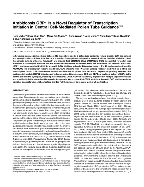 (PDF) Arabidopsis CBP1 Is a Novel Regulator of Transcription Initiation ...