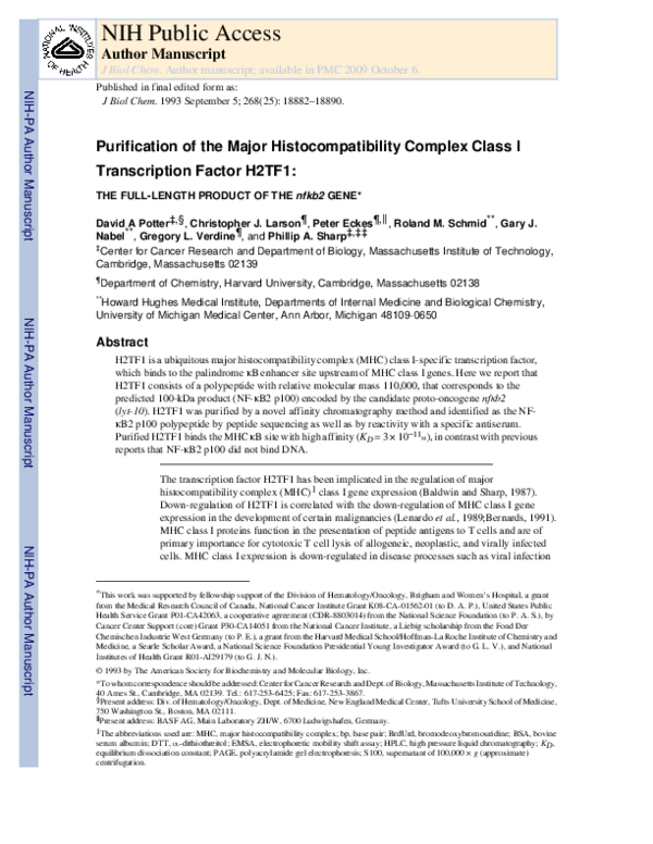 (PDF) Purification of the major histocompatibility complex class I transcription factor H2TF1 ...