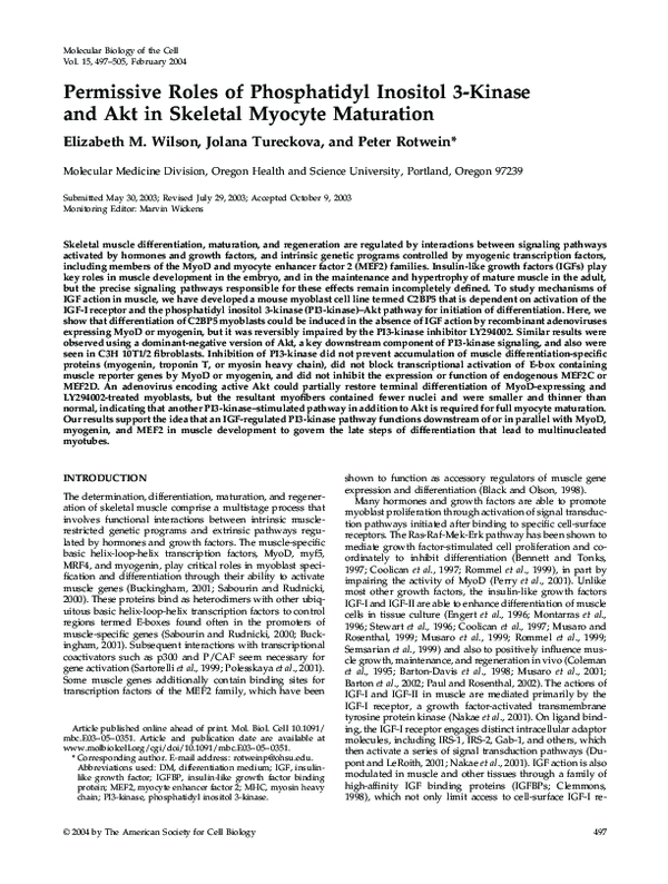 (PDF) Permissive Roles of Phosphatidyl Inositol 3-Kinase and Akt in ...
