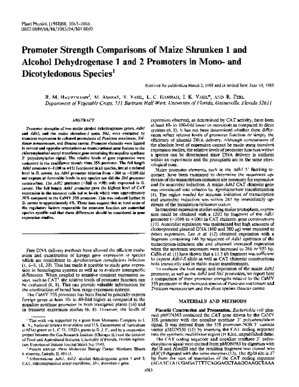 (PDF) Promoter Strength Comparisons of Maize Shrunken 1 and Alcohol ...