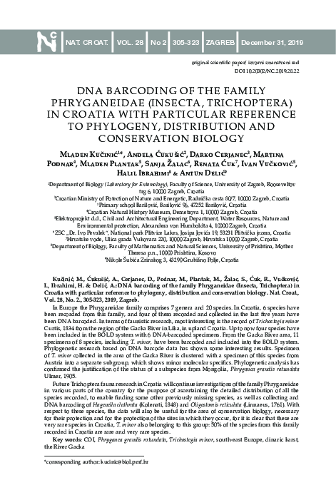 (PDF) DNA barcoding of the family Phryganeidae (Insecta, Trichoptera ...