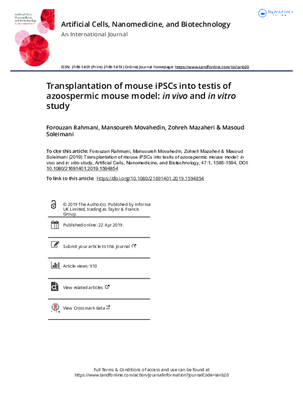 (PDF) Transplantation of mouse iPSCs into testis of azoospermic mouse ...