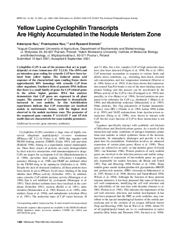 (PDF) Yellow Lupine Cyclophilin Transcripts Are Highly Accumulated in ...