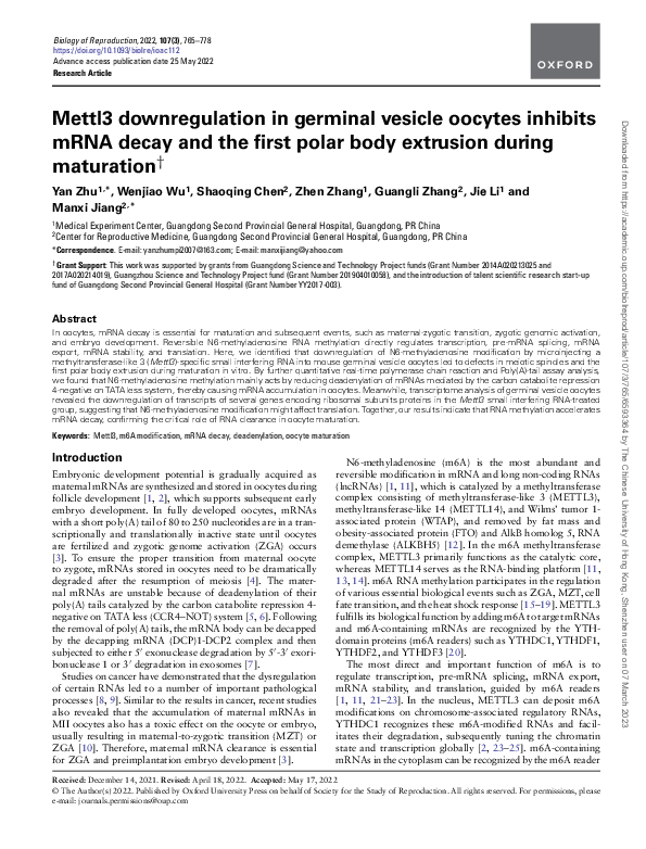 (PDF) Mettl3 downregulation in germinal vesicle oocytes inhibits mRNA ...