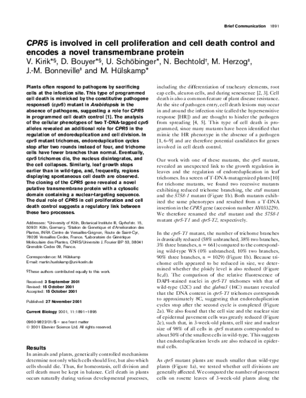 (PDF) CPR5 is involved in cell proliferation and cell death control and ...