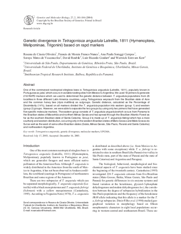 (PDF) Genetic divergence in Tetragonisca angustula Latreille, 1811 ...