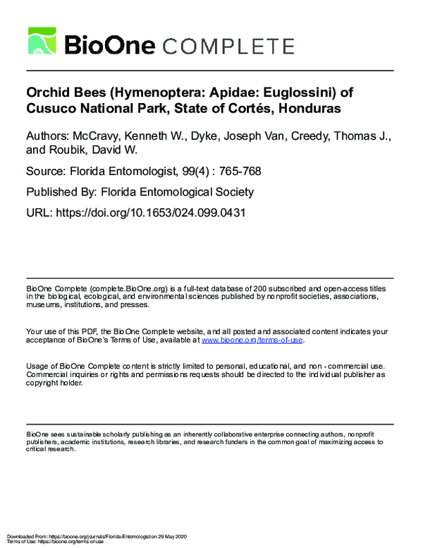 (PDF) Orchid Bees (Hymenoptera: Apidae: Euglossini) of Cusuco National ...