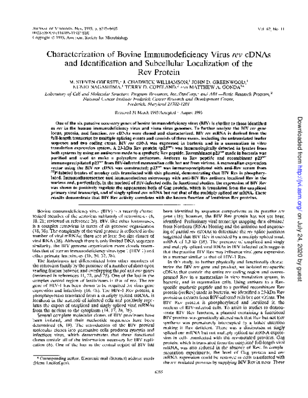 (PDF) Characterization of bovine immunodeficiency virus rev cDNAs and ...