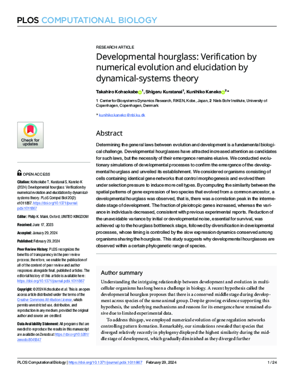 (PDF) Developmental hourglass: Verification by numerical evolution and ...