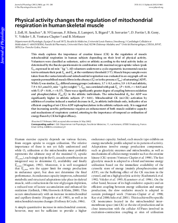 (PDF) Physical activity changes the regulation of mitochondrial ...