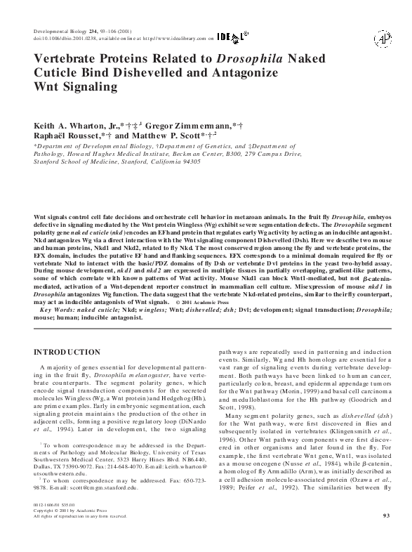 (PDF) Vertebrate Proteins Related to Drosophila Naked Cuticle Bind ...