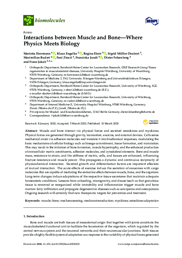 (PDF) Interactions between Muscle and Bone—Where Physics Meets Biology