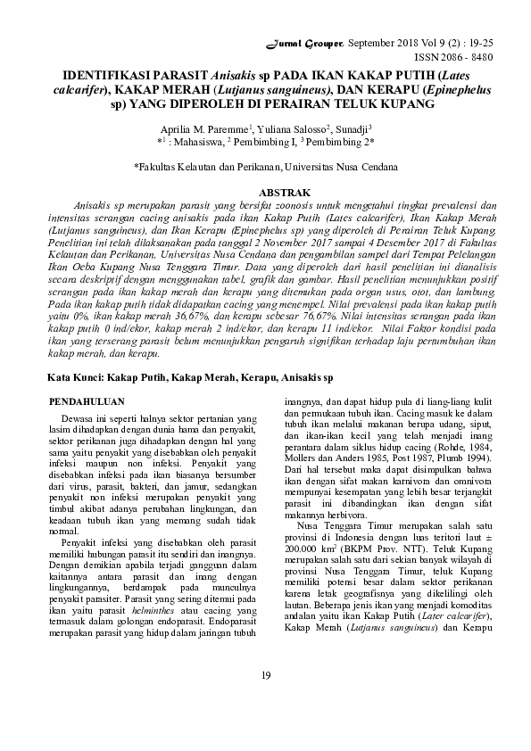 (PDF) IDENTIFIKASI PARASIT Anisakis sp PADA IKAN KAKAP PUTIH (Lates ...