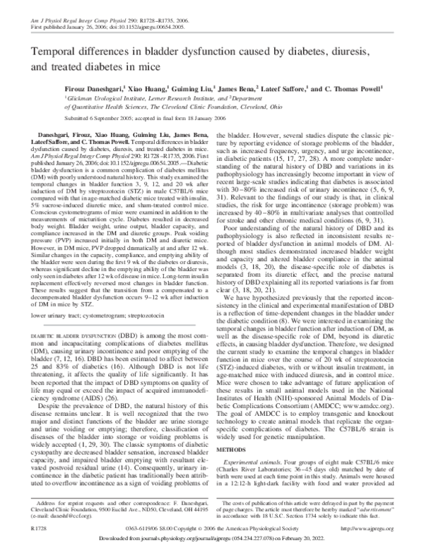 (PDF) Temporal differences in bladder dysfunction caused by diabetes ...