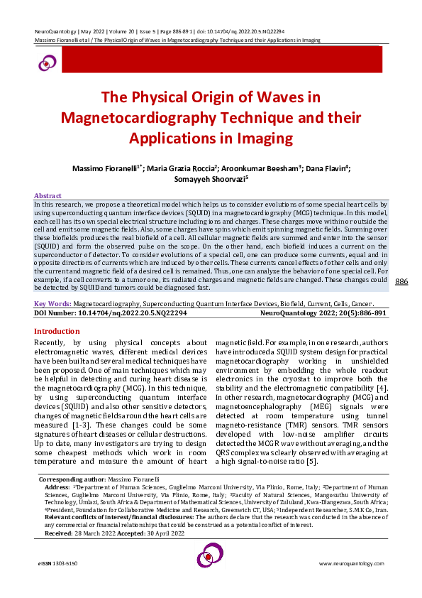 (PDF) The Physical Origin of Waves in Magnetocardiography Technique and ...