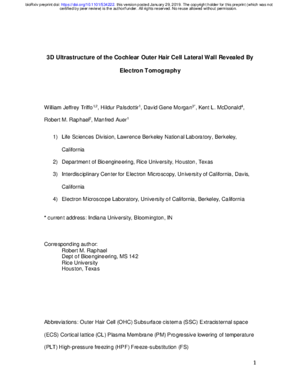 (PDF) 3D Ultrastructure of the Cochlear Outer Hair Cell Lateral Wall ...