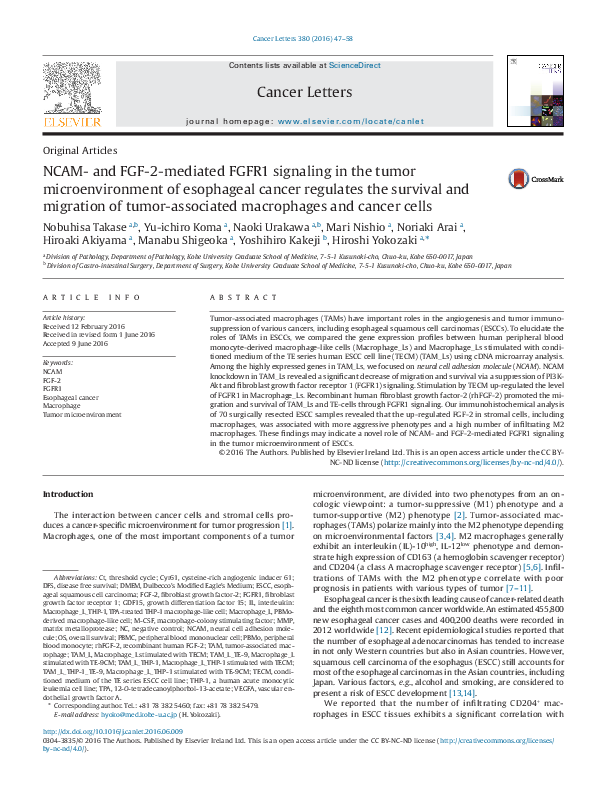 (PDF) NCAM- and FGF-2-mediated FGFR1 signaling in the tumor ...