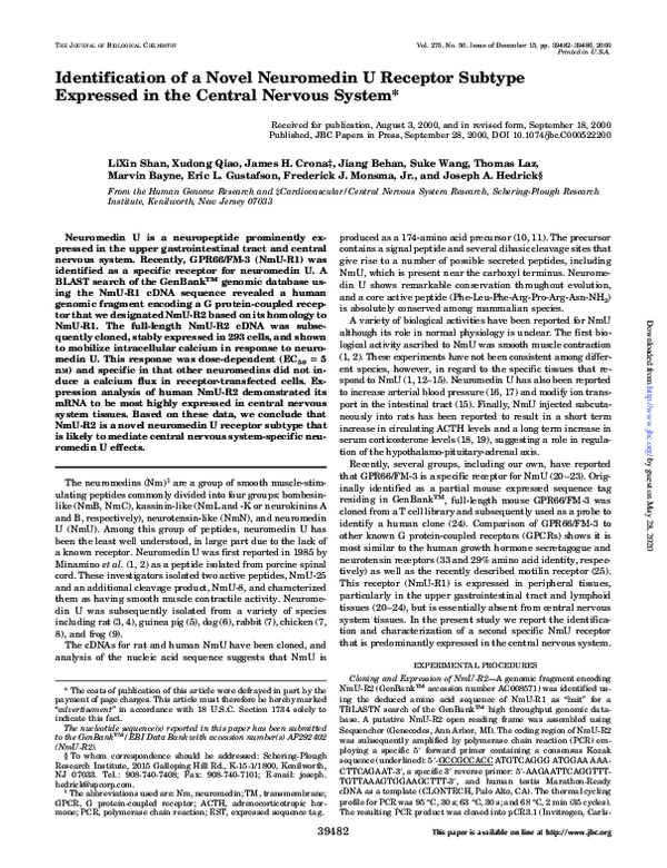 (PDF) Identification of a Novel Neuromedin U Receptor Subtype Expressed ...