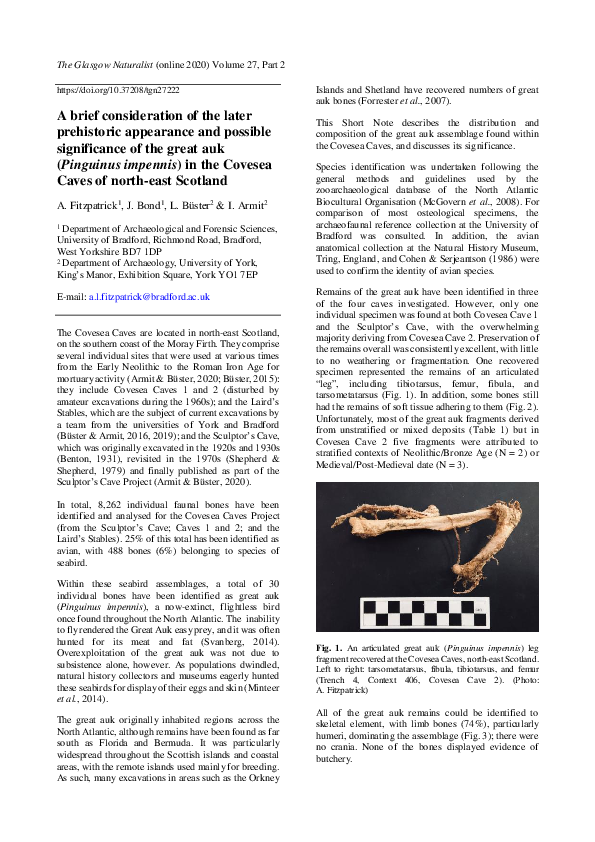 (PDF) A brief consideration of the later prehistoric appearance and ...