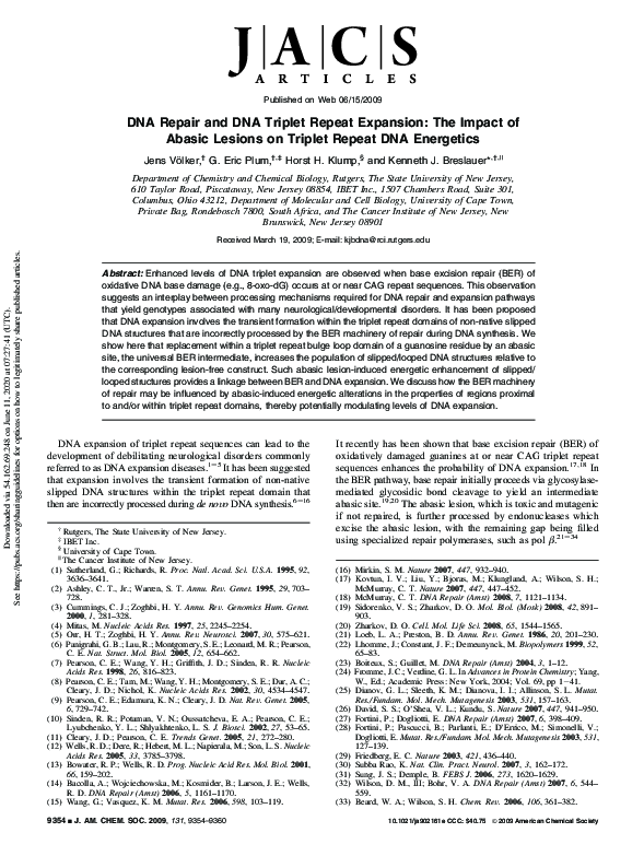 (PDF) DNA Repair and DNA Triplet Repeat Expansion: The Impact of Abasic ...