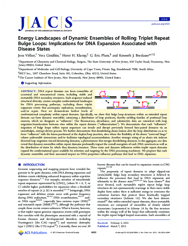 (PDF) Energy Landscapes of Dynamic Ensembles of Rolling Triplet Repeat ...