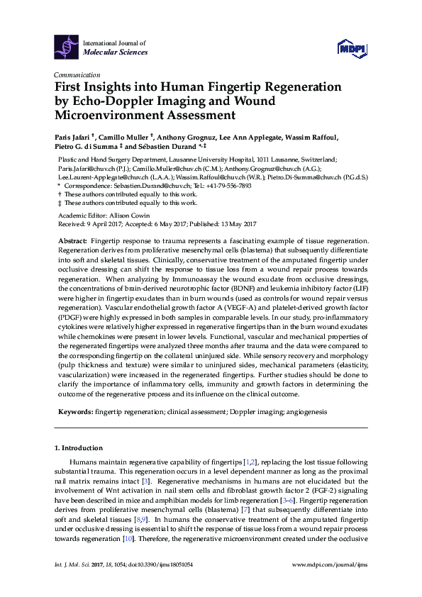 (PDF) First Insights into Human Fingertip Regeneration by Echo-Doppler ...