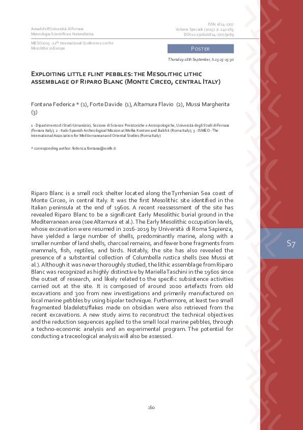 (PDF) Exploiting little flint pebbles: the Mesolithic lithic assemblage ...